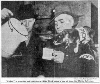 Actualité de l'Anarchosyndicalisme D’où vient le symbole du Chat Noir ...