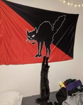 Actualité de l'Anarchosyndicalisme D’où vient le symbole du Chat Noir ...